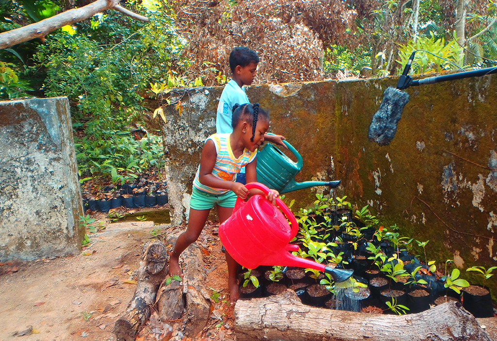TRASS – Terrestrial Restoration Action Society of Seychelles